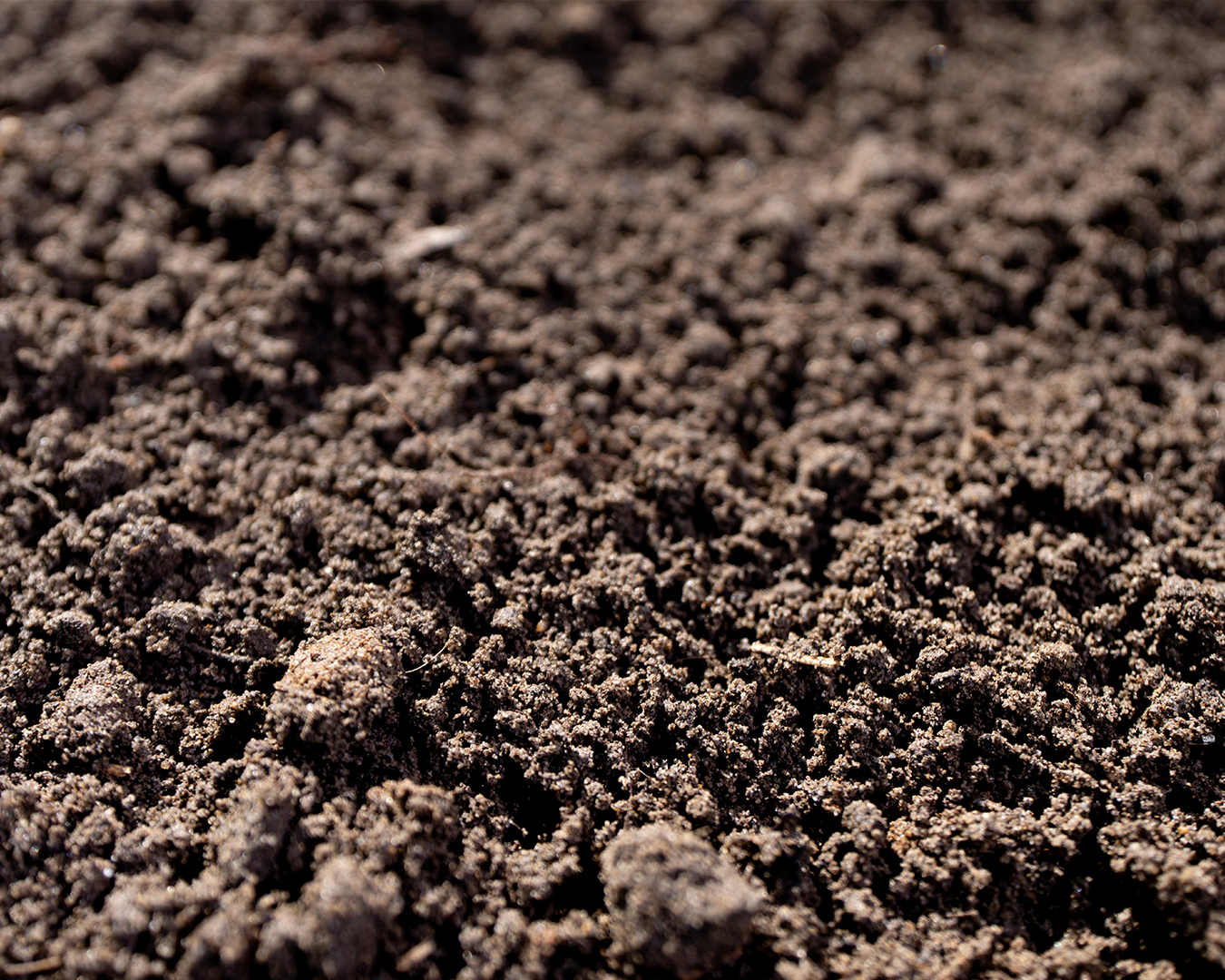 Blend Compost 80L Sacks Shropshire | Garden Compost | Carbon Earth
