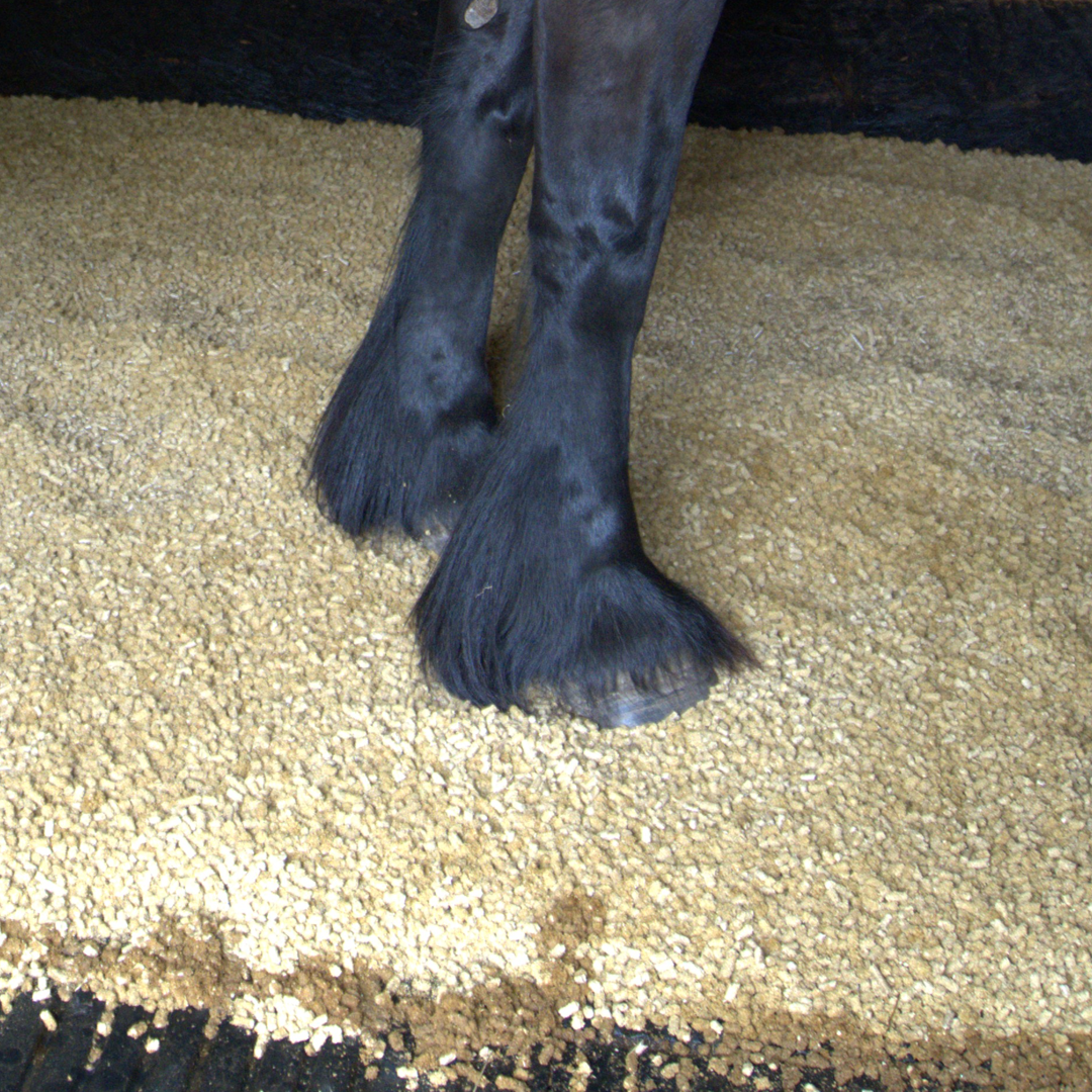 Straw Pellets Shropshire | Low-Dust Animal Bedding | Carbon Earth